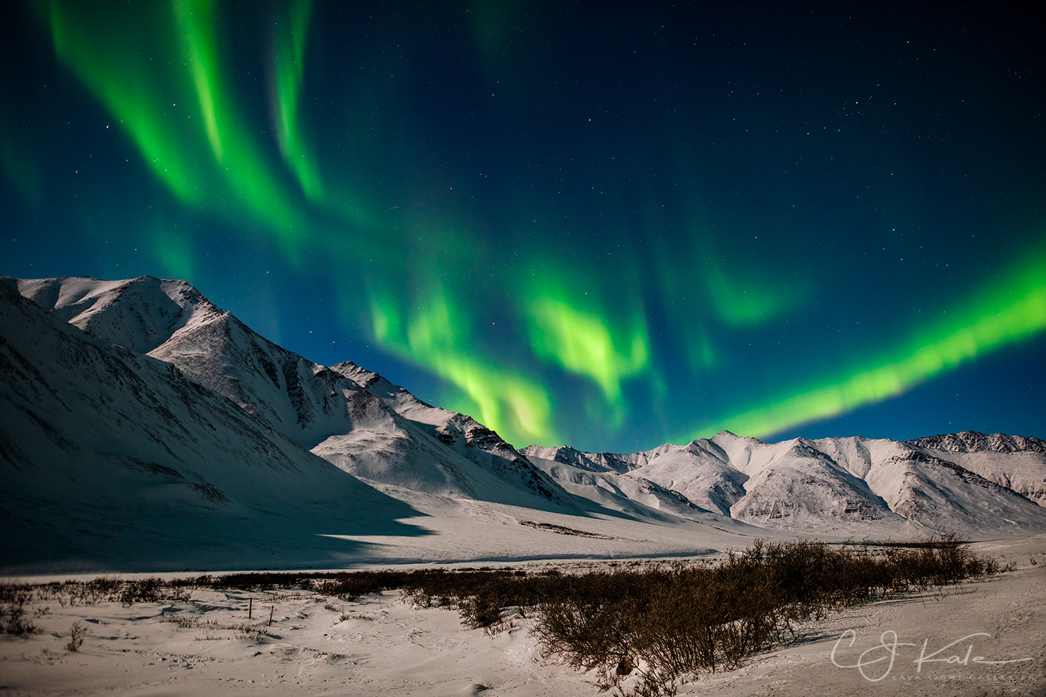 Lava Light Galleries